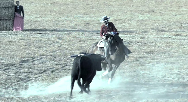 BUEN PAPEL DEL REJONEADOR MURCIANO FRANCISCO JOSÉ ALCÁZAR EN LA FINAL ...