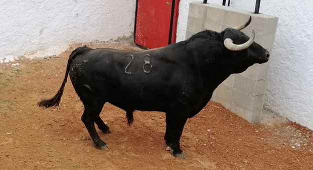 LOS «BUENAVISTAS» PARA EL PRIMER COMPROMISO DE LA TEMPORADA DE ...