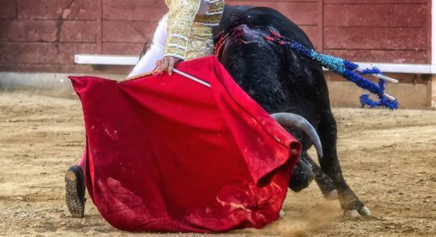 «MARCANDO RUMBO» por Marcial García – El Muletazo