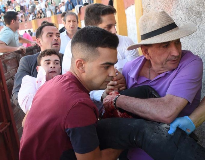 EL PUÑO DE «DOMINGUÍN» SUJETÓ LA VIDA DE DAVID PARDO: «LA MEJOR FAENA Y ...