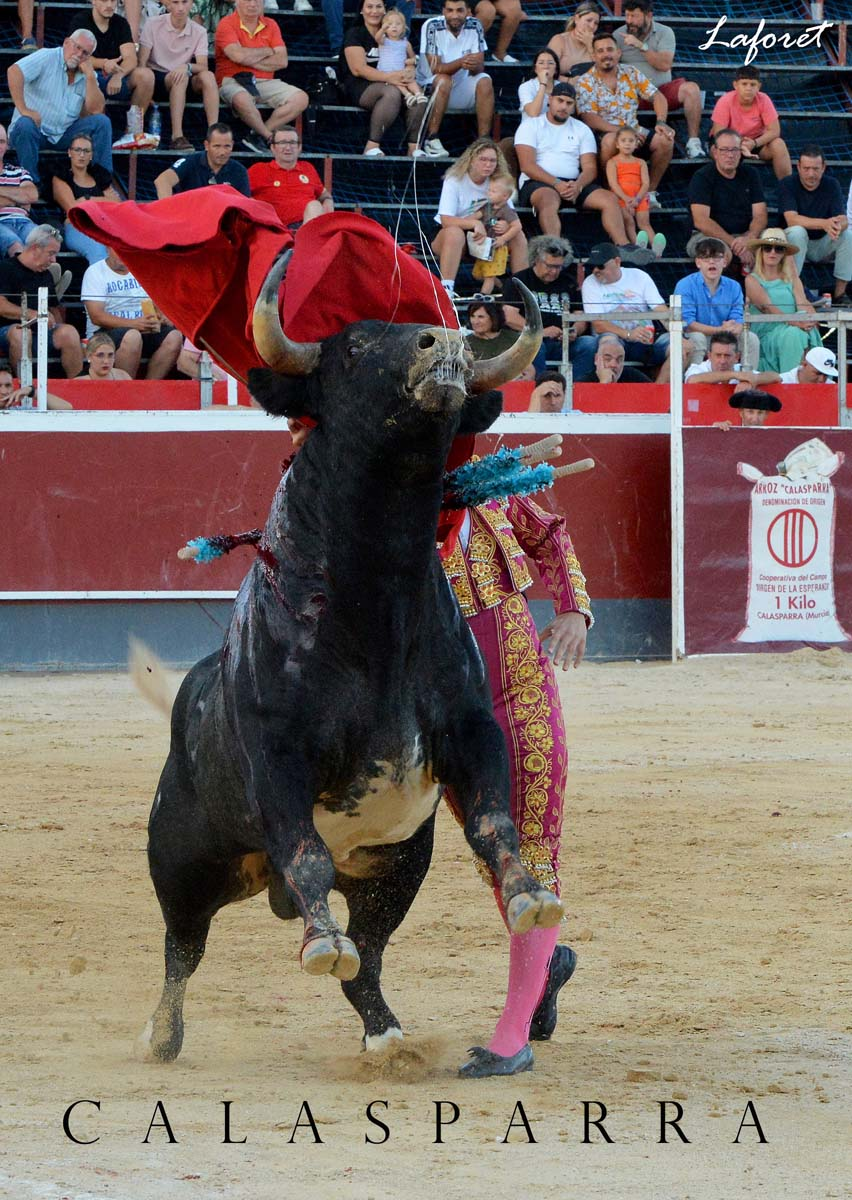 CALASPARRA INCREMENTA UN 10% LA INVERSIÓN EN LA FERIA DE NOVILLADAS MÁS ...