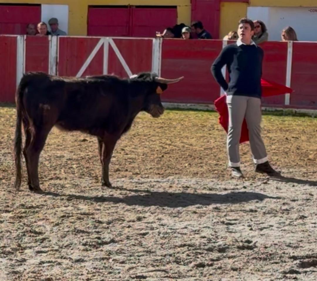 FIRME ACTUACIÓN DE DAVID PARDO EN LA SEGUNDA FASE DEL «BOLSÍN TAURINO ...